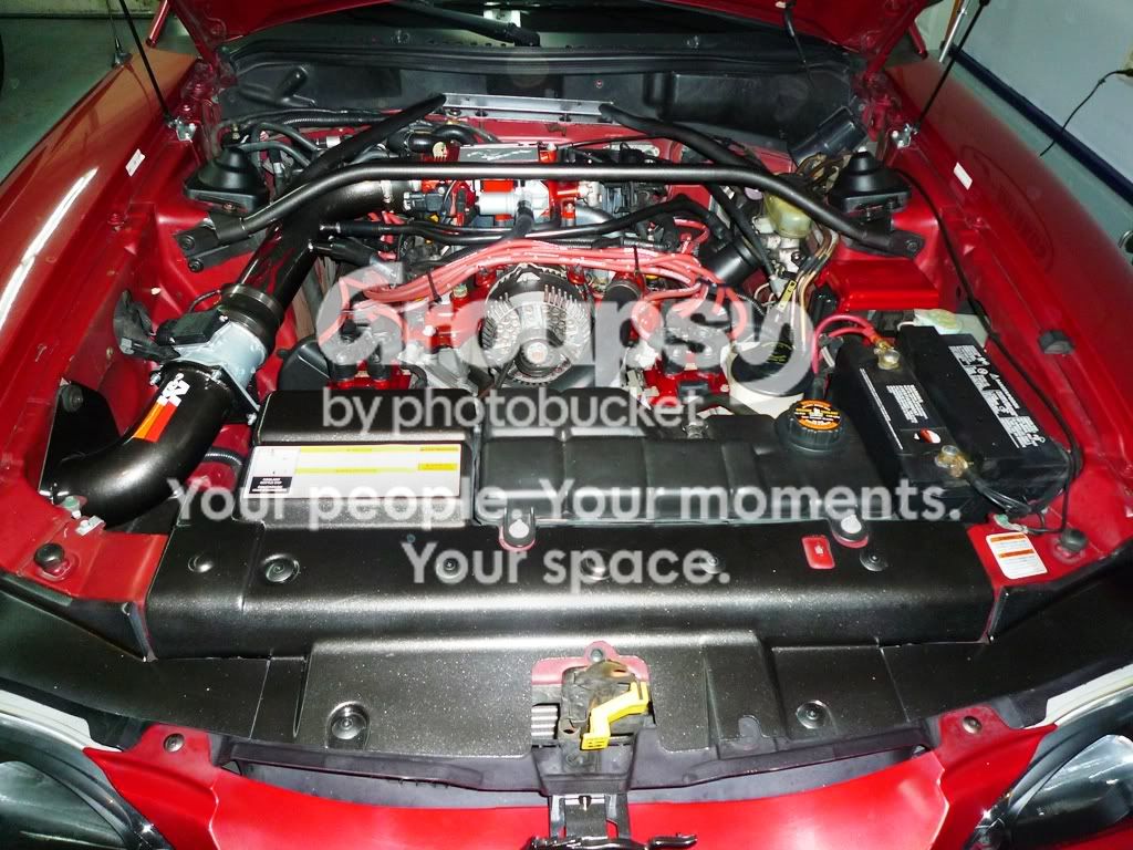 Engine Bay Decal Pics Request | SN95Forums The Only SN95 1994-2004 ...