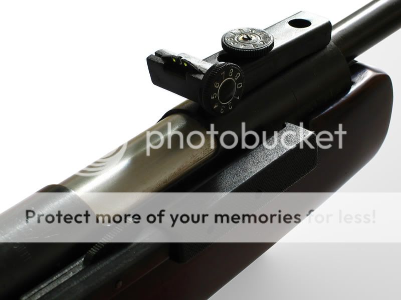 Any Airgunners in the Hive? > General Discussion > AR15.COM